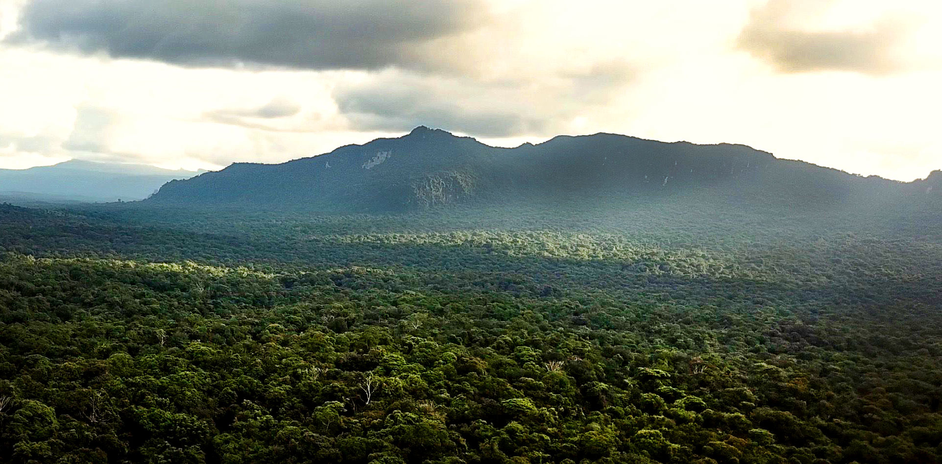 A Call to Protect Rainforest Peoples From COVID-19 - Rainforest ...