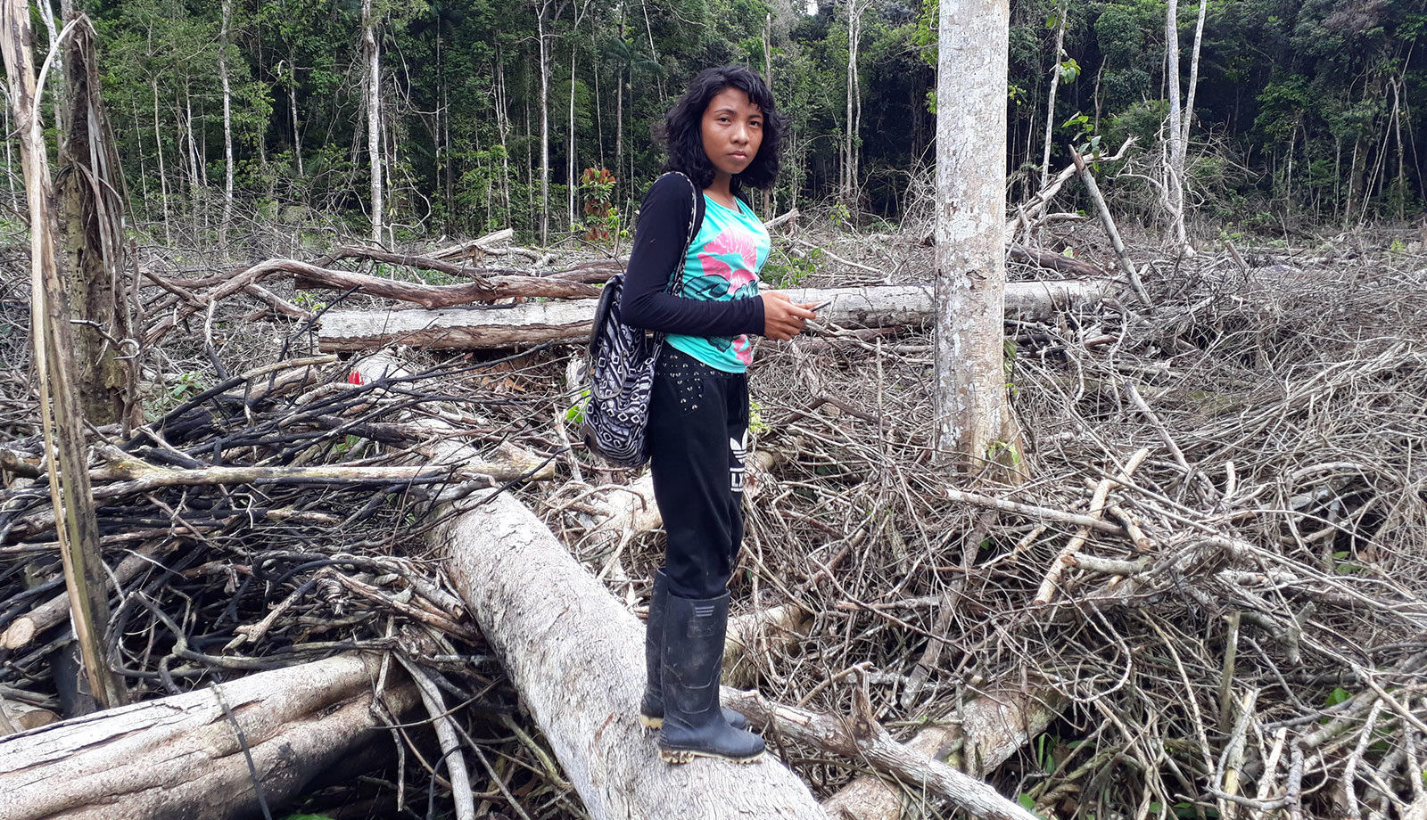 Indigenous Peoples with Affordable Tech Can Halve Rainforest ...