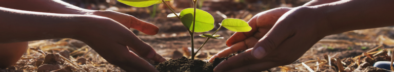 RFUS Fundraisers’ Toolkit - Rainforest Foundation US | Protecting ...