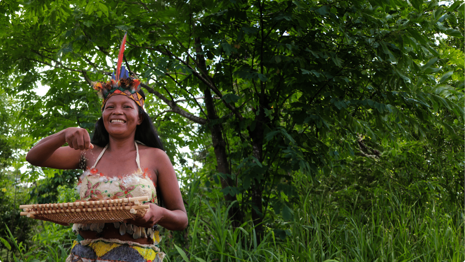 Protecting the Amazon rainforest | Rainforest Foundation US
