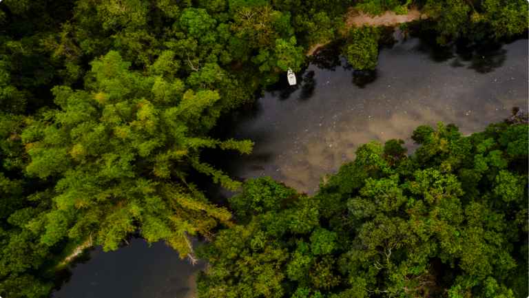 Protecting the Amazon rainforest | Rainforest Foundation US
