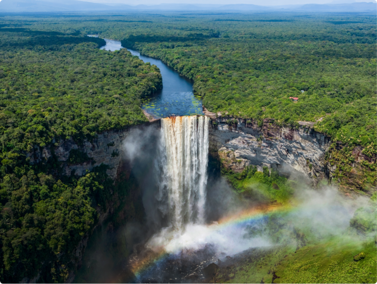 Guyana rainforests - Rainforest Foundation US