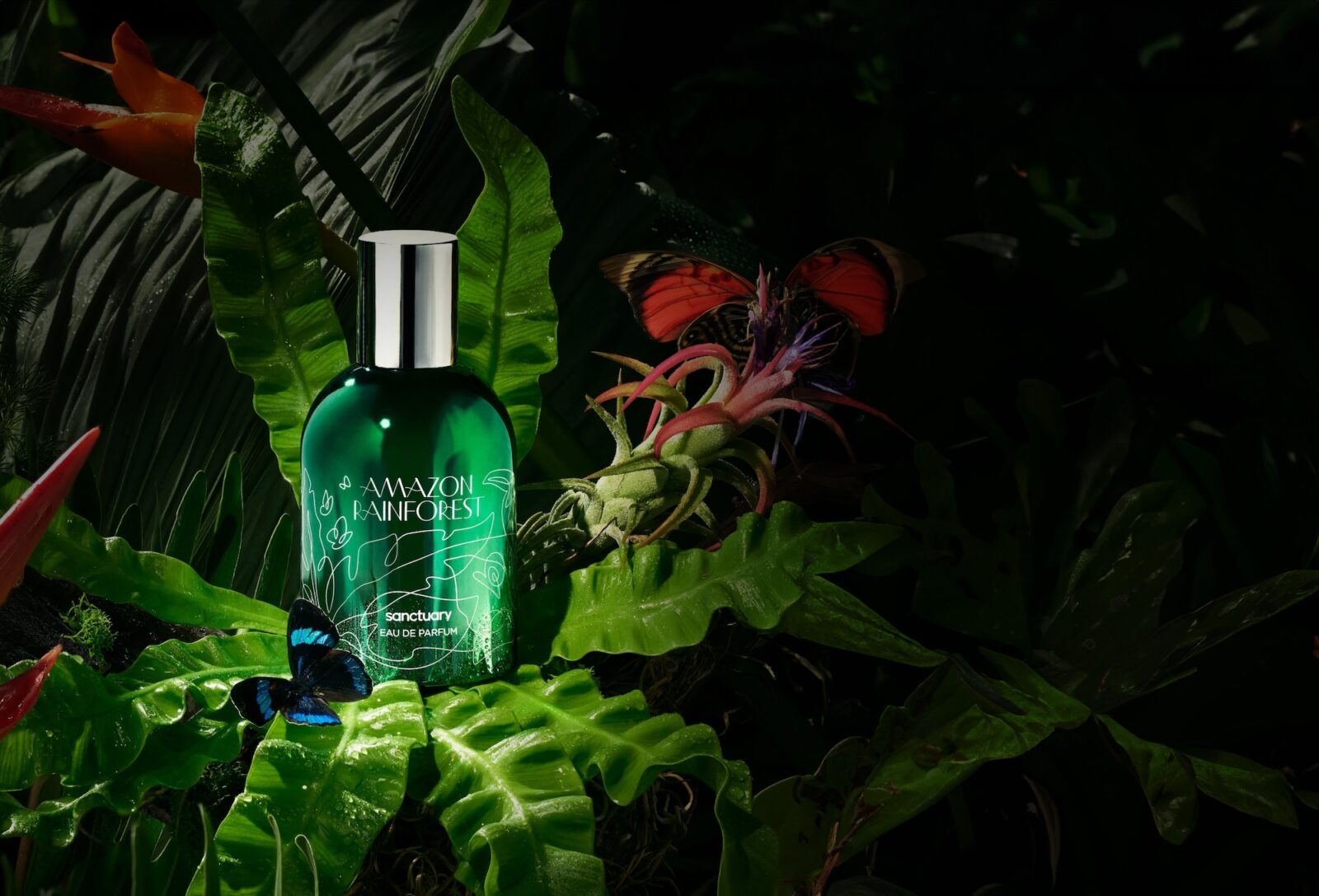 What can you do to protect the rainforest? Tips for 2025