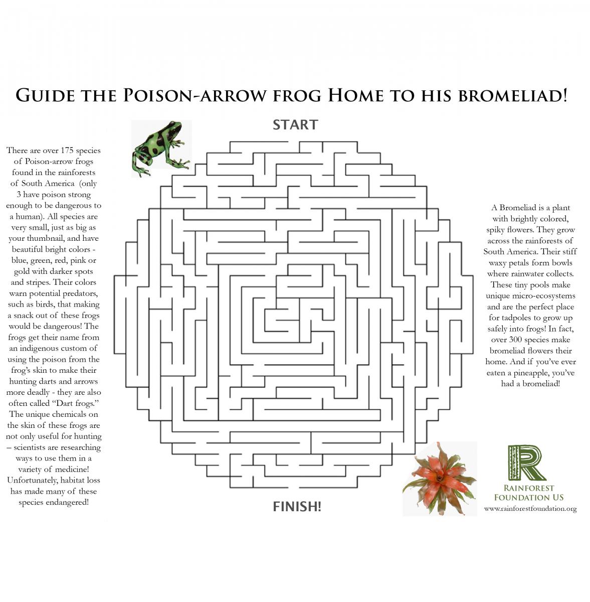 Kids' Corner Learn About Rainforests - Rainforest Foundation US