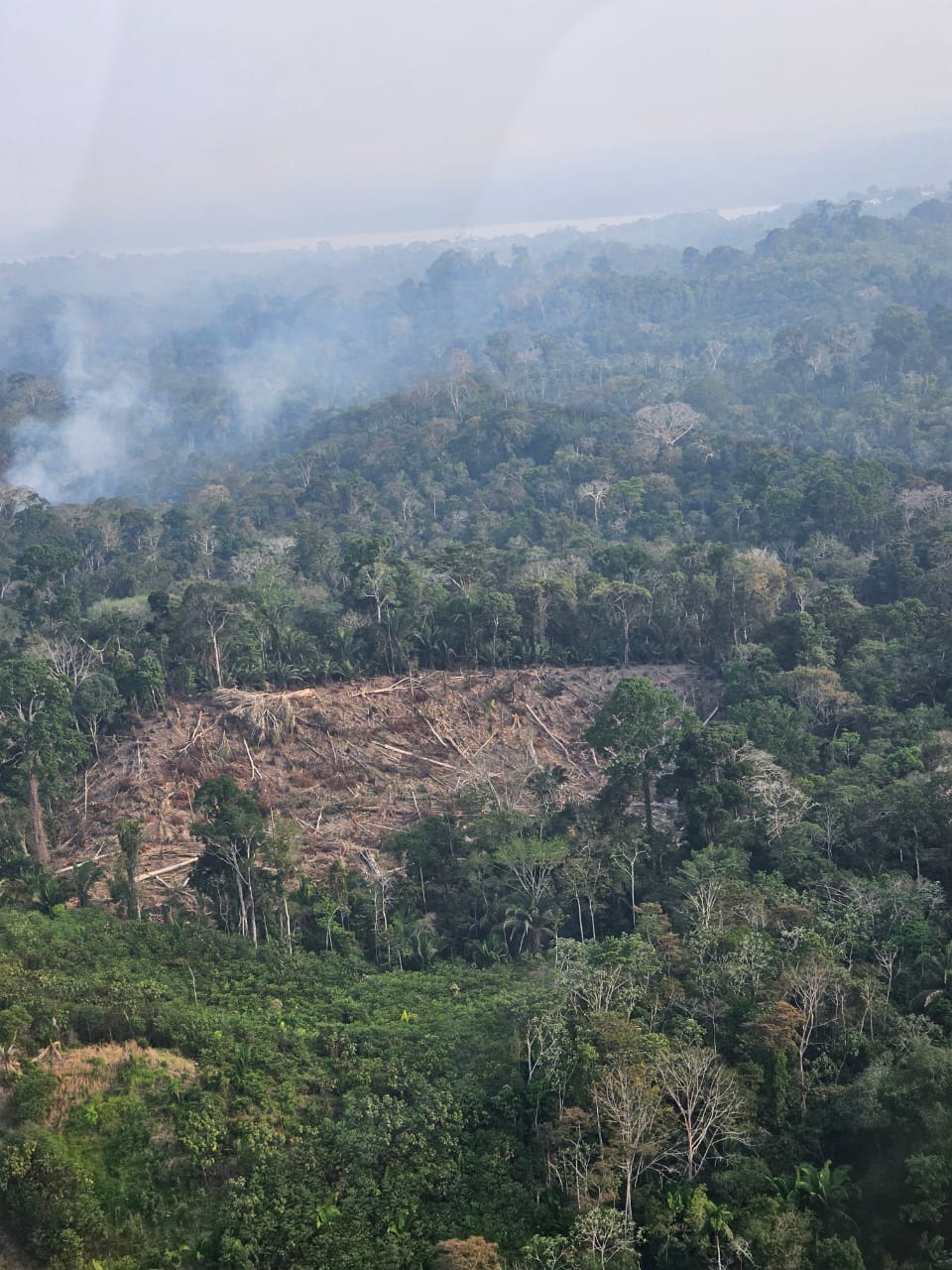 Communities in the Amazon Grapple with the Impacts of Extreme Drought ...