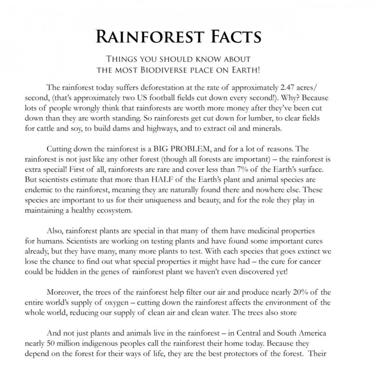 Kids' Corner Learn About Rainforests - Rainforest Foundation US