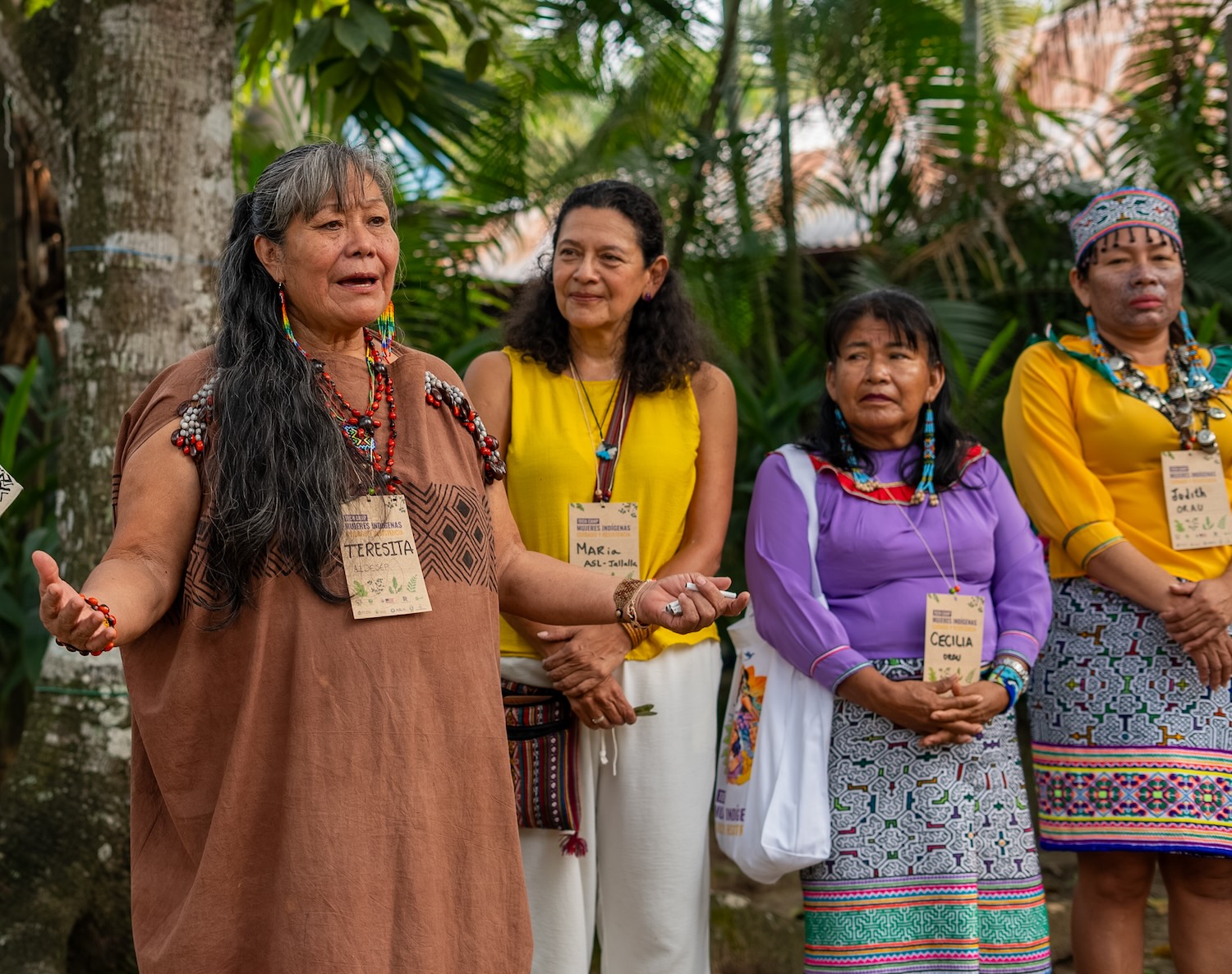 Indigenous Women Forge Strategic Alliances to Defend Their Territories ...