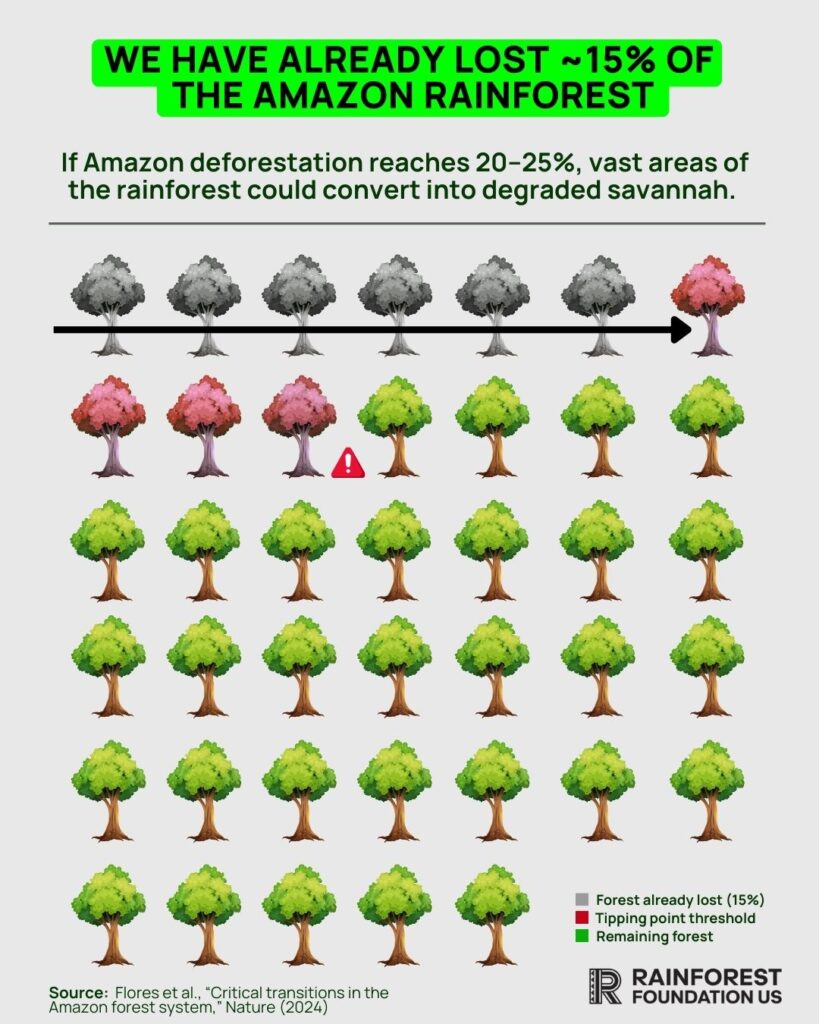 Amazon Rainforest Drought - Rainforest Foundation US