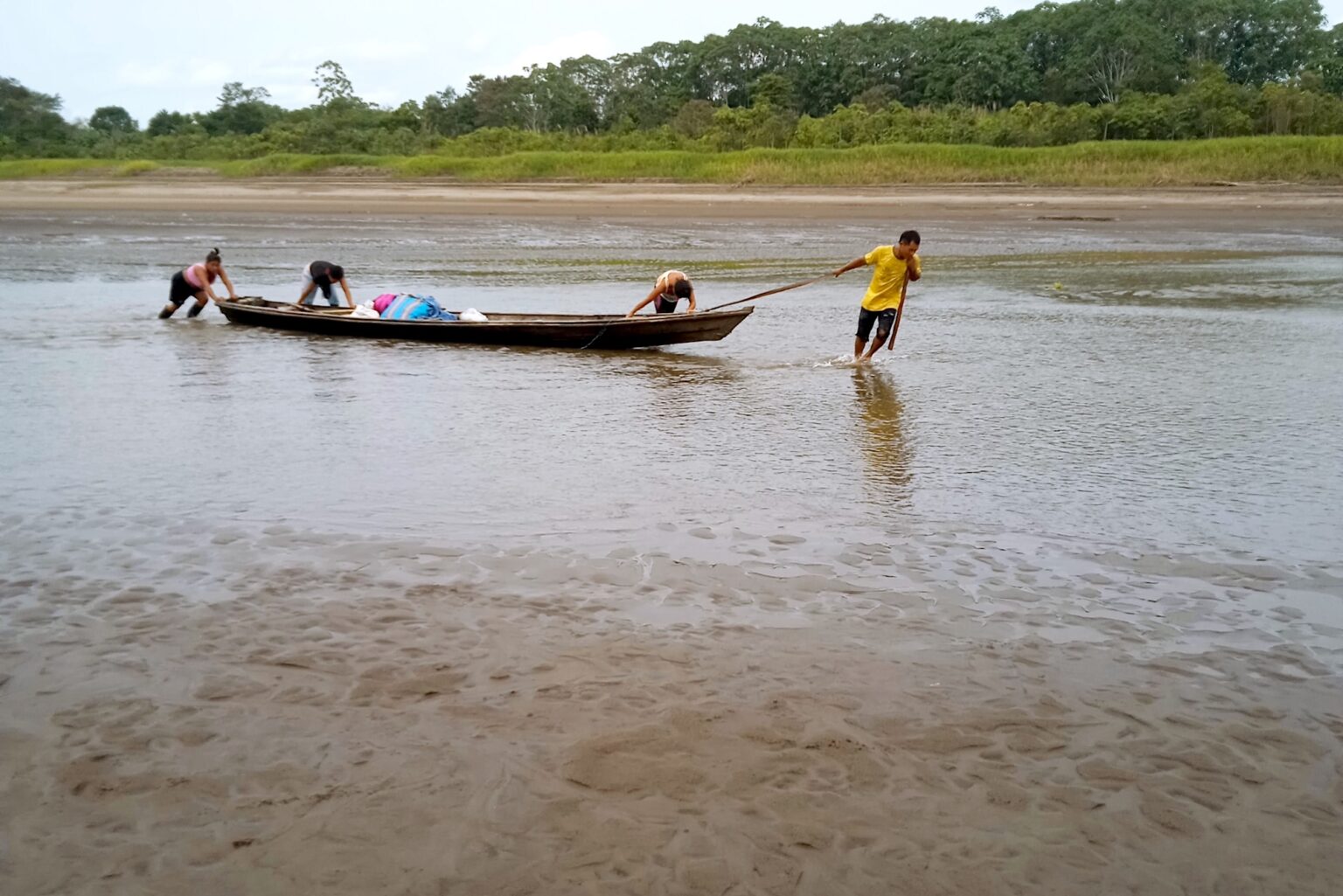 Amazon Rainforest Drought - Rainforest Foundation US