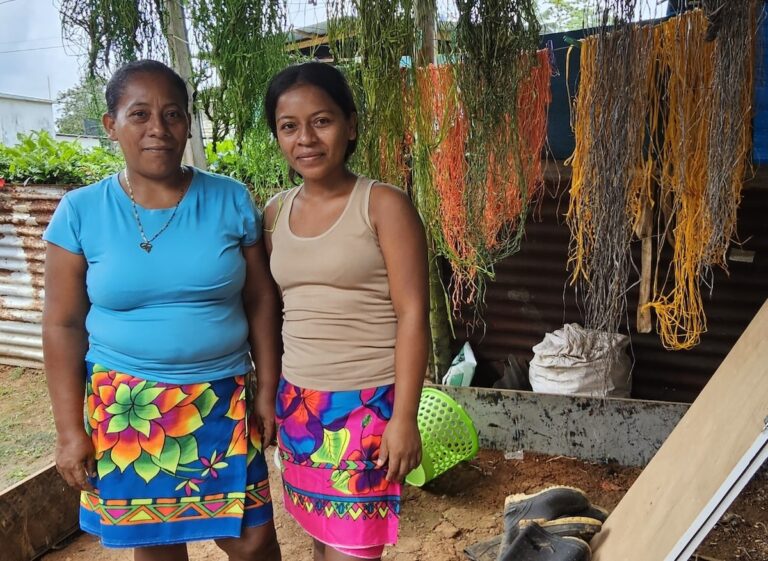 The Artisans of Chunga: An Opportunity to Care for the Forest ...