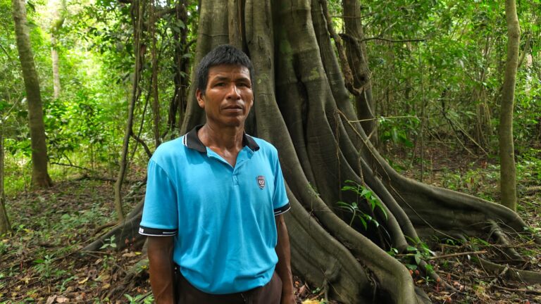 No Forests = No Future: A Call to Support Indigenous Defenders on the ...