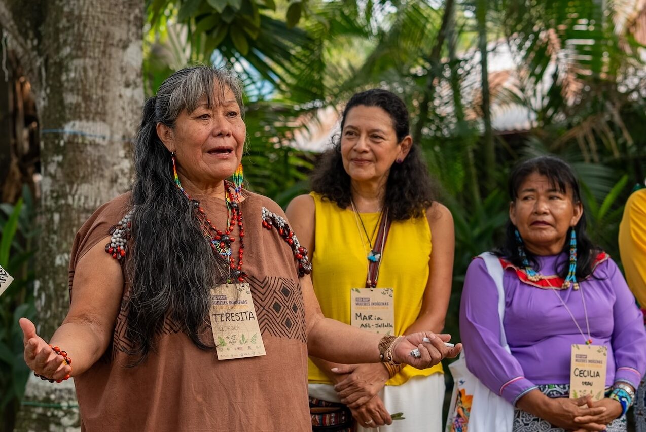 A Year of Resilience, Progress, and Hope for Rainforests and Indigenous ...