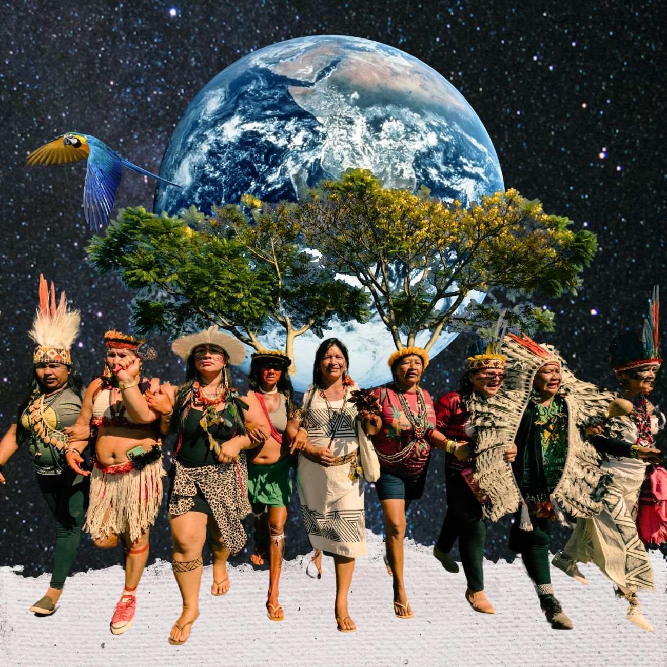 A Year of Resilience, Progress, and Hope for Rainforests and Indigenous ...