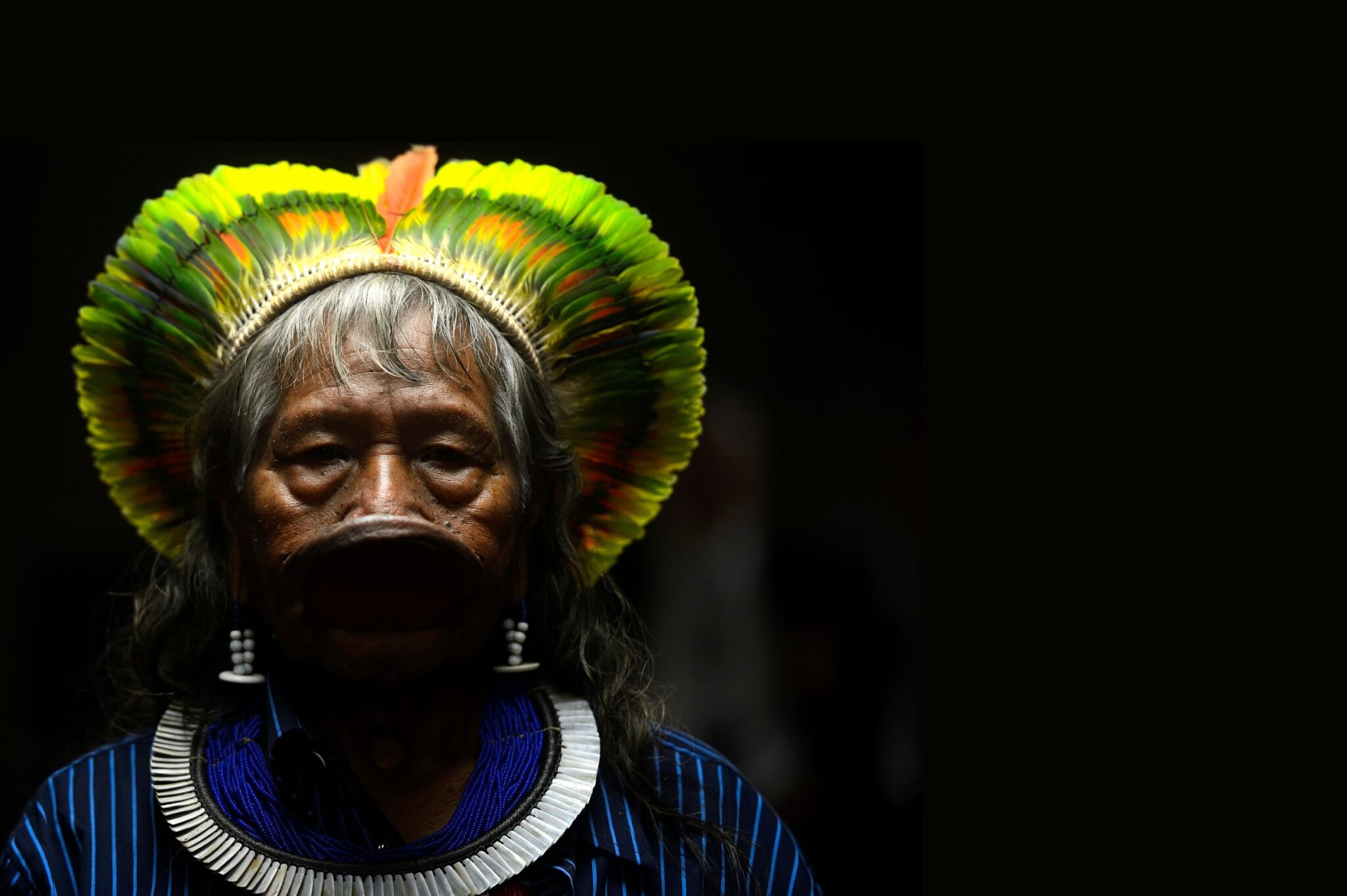 Purpose and History of Rainforest Foundation US | Protecting ...