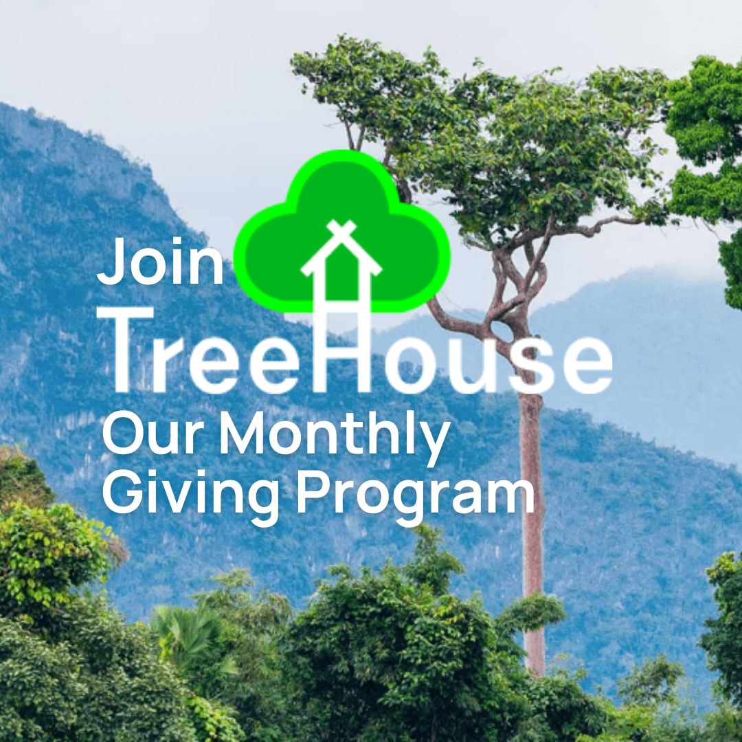 Donate Monthly to Rainforest Foundation US | Protecting Rainforests in ...